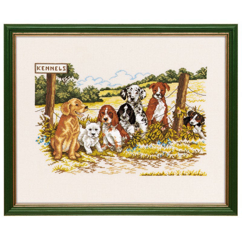 Fox og Jane / CVR: 38570269